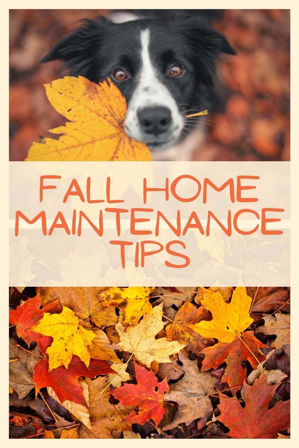 Fall Home Maintenance Checklist for Home Energy Savings